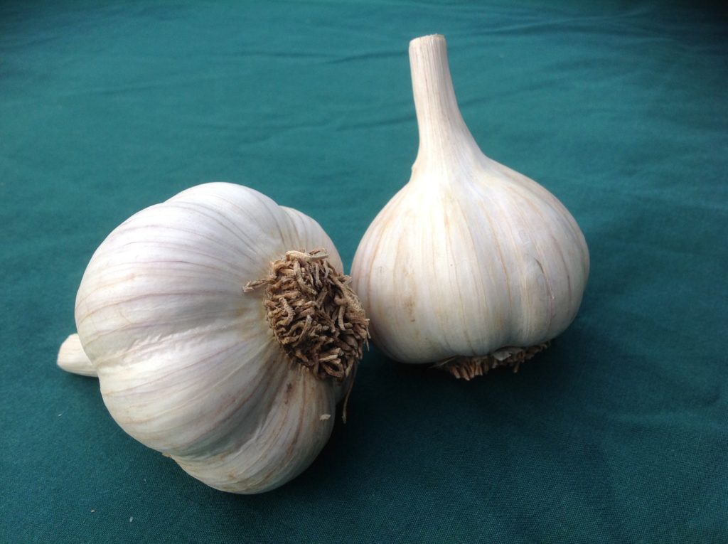 Annual Events & Festivals - My Haliburton Highlands