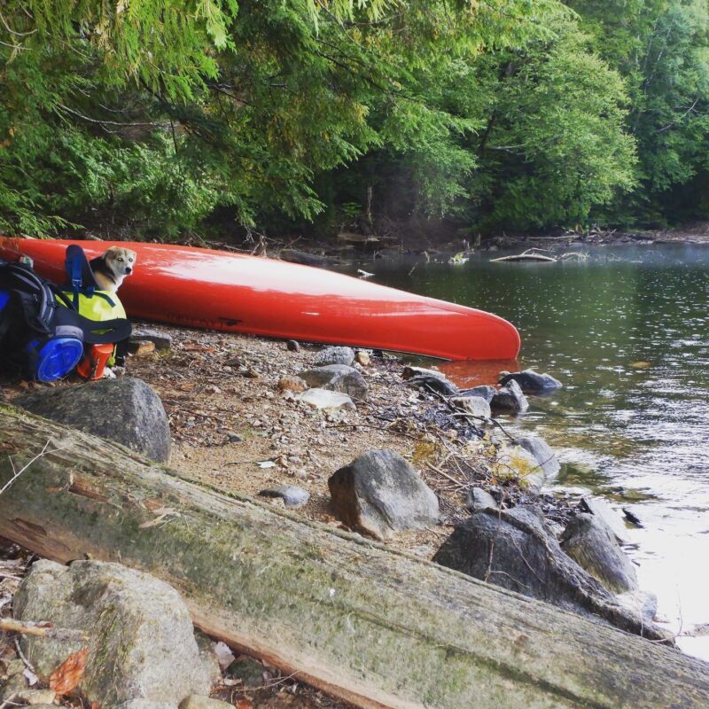 Home - My Haliburton Highlands